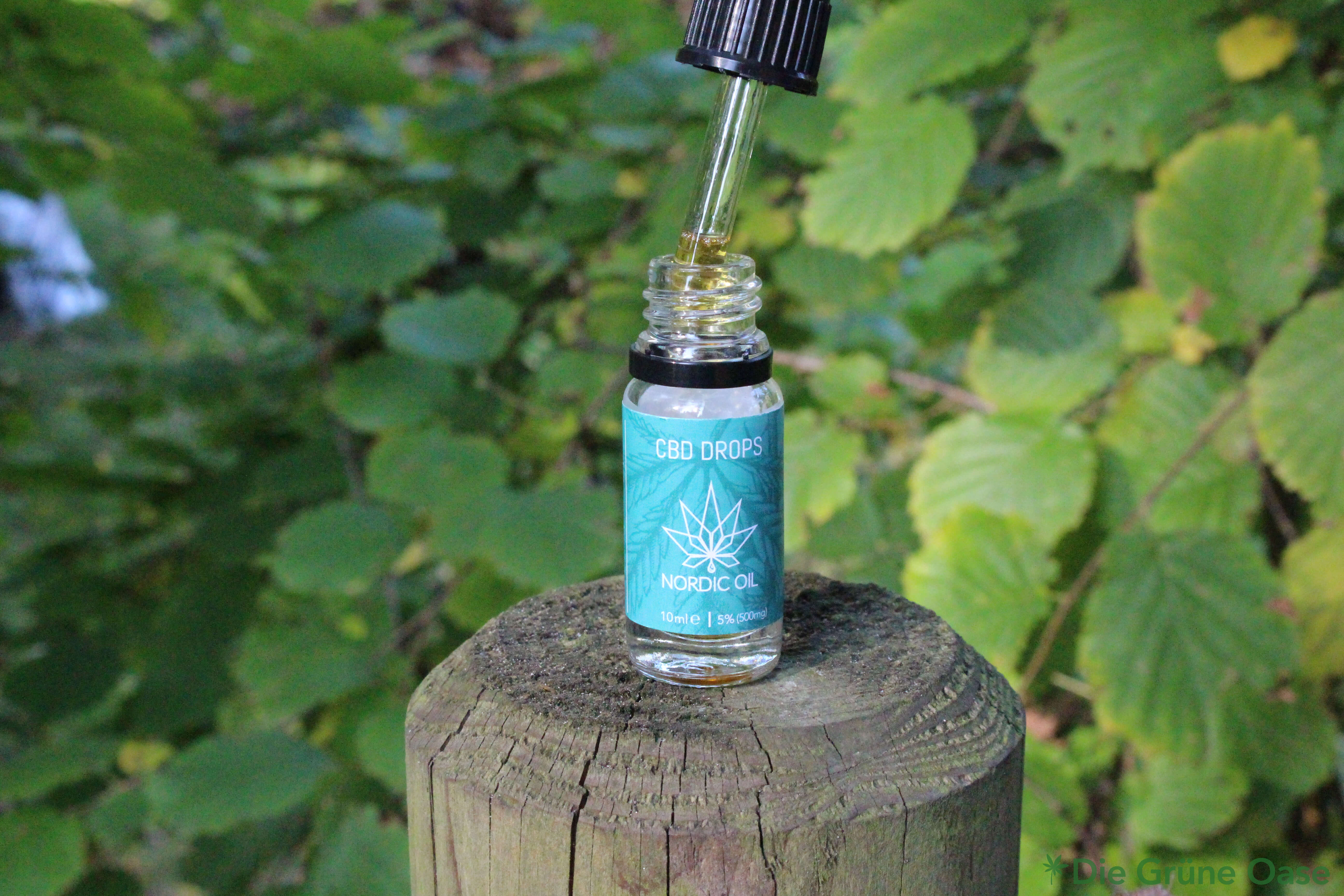 Bestes CBD Öl – Testsieger im Vergleich (2021)